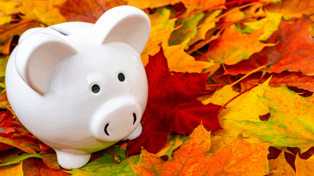 Fall Financial Reset: Conduct a Financial Health Check-Up - BPAS University